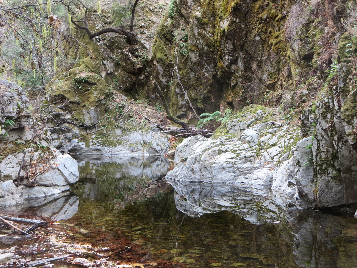 Little Sur Circular Pools – Leor Pantilat's Adventures