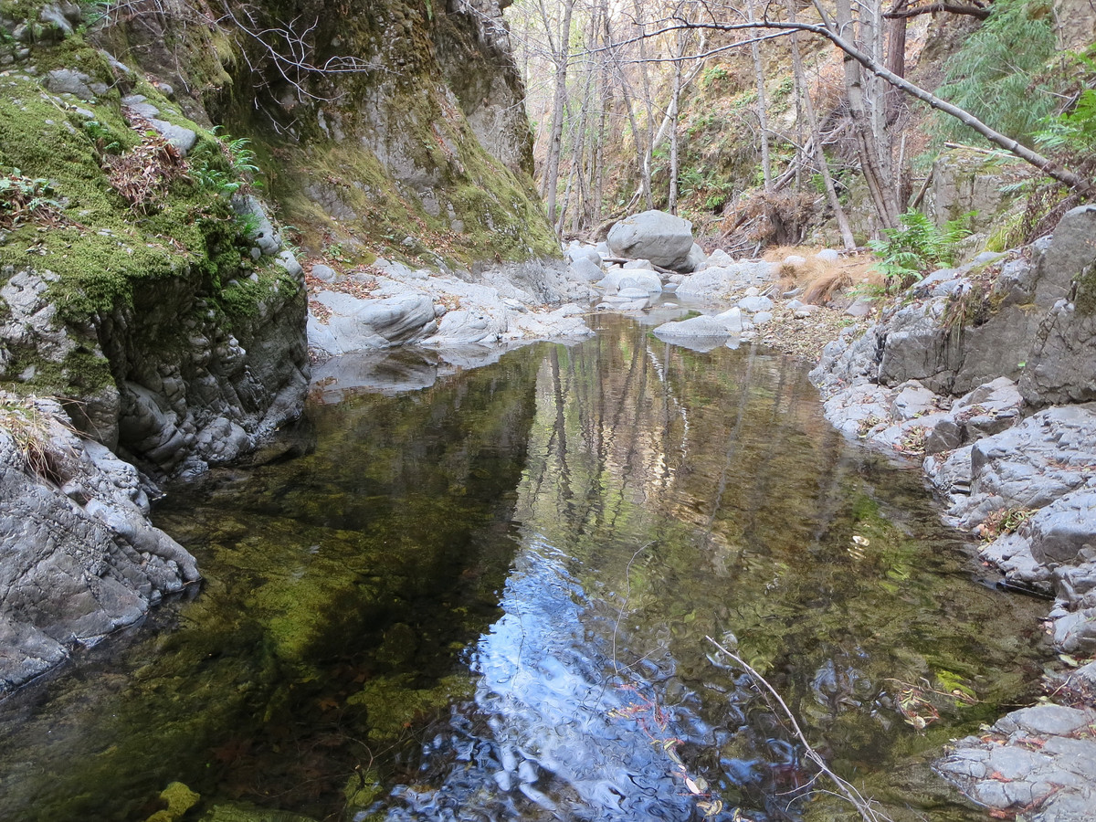 Little Sur Circular Pools – Leor Pantilat's Adventures