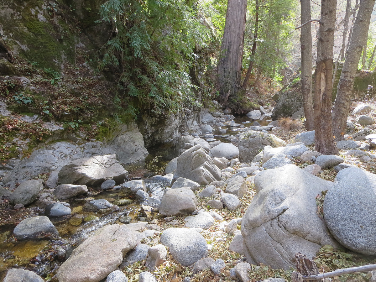Little Sur Circular Pools – Leor Pantilat's Adventures