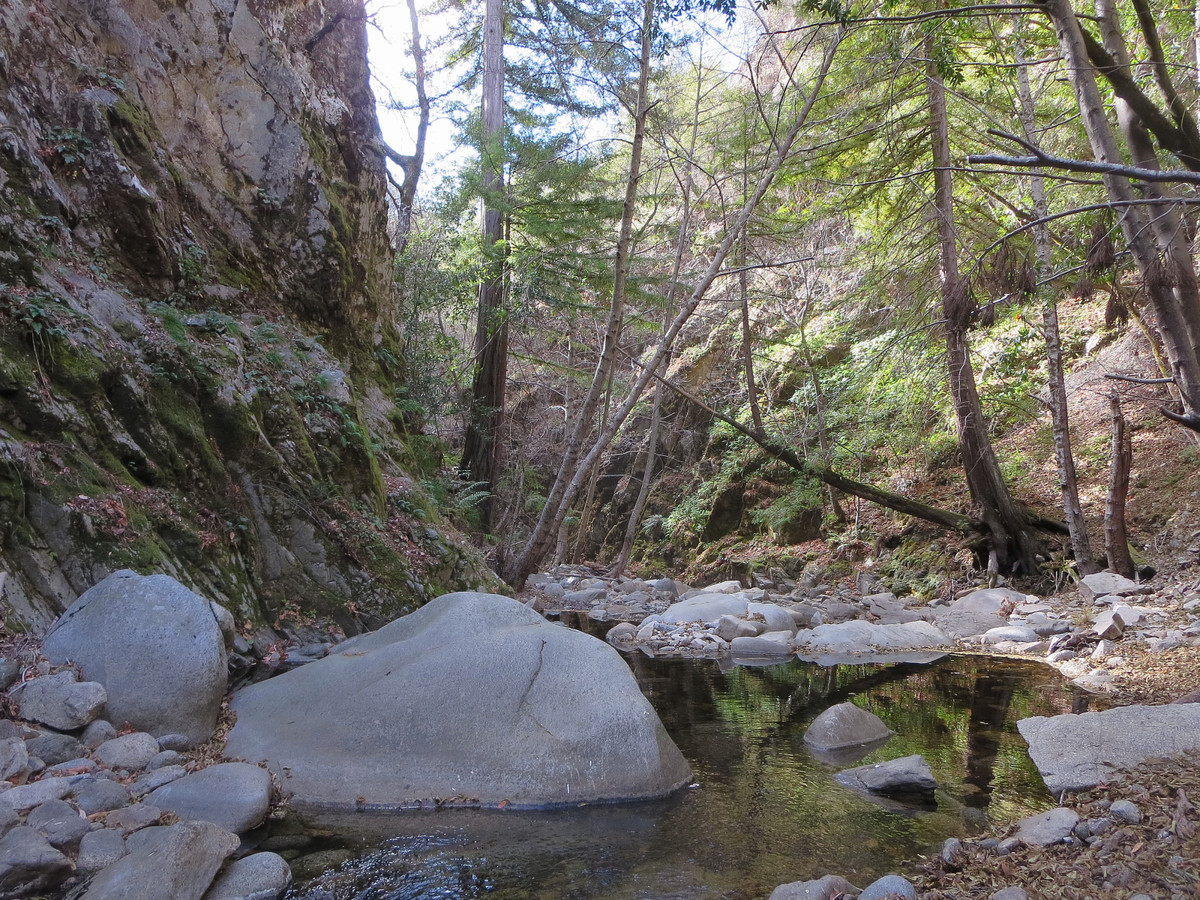 Little Sur Circular Pools – Leor Pantilat's Adventures