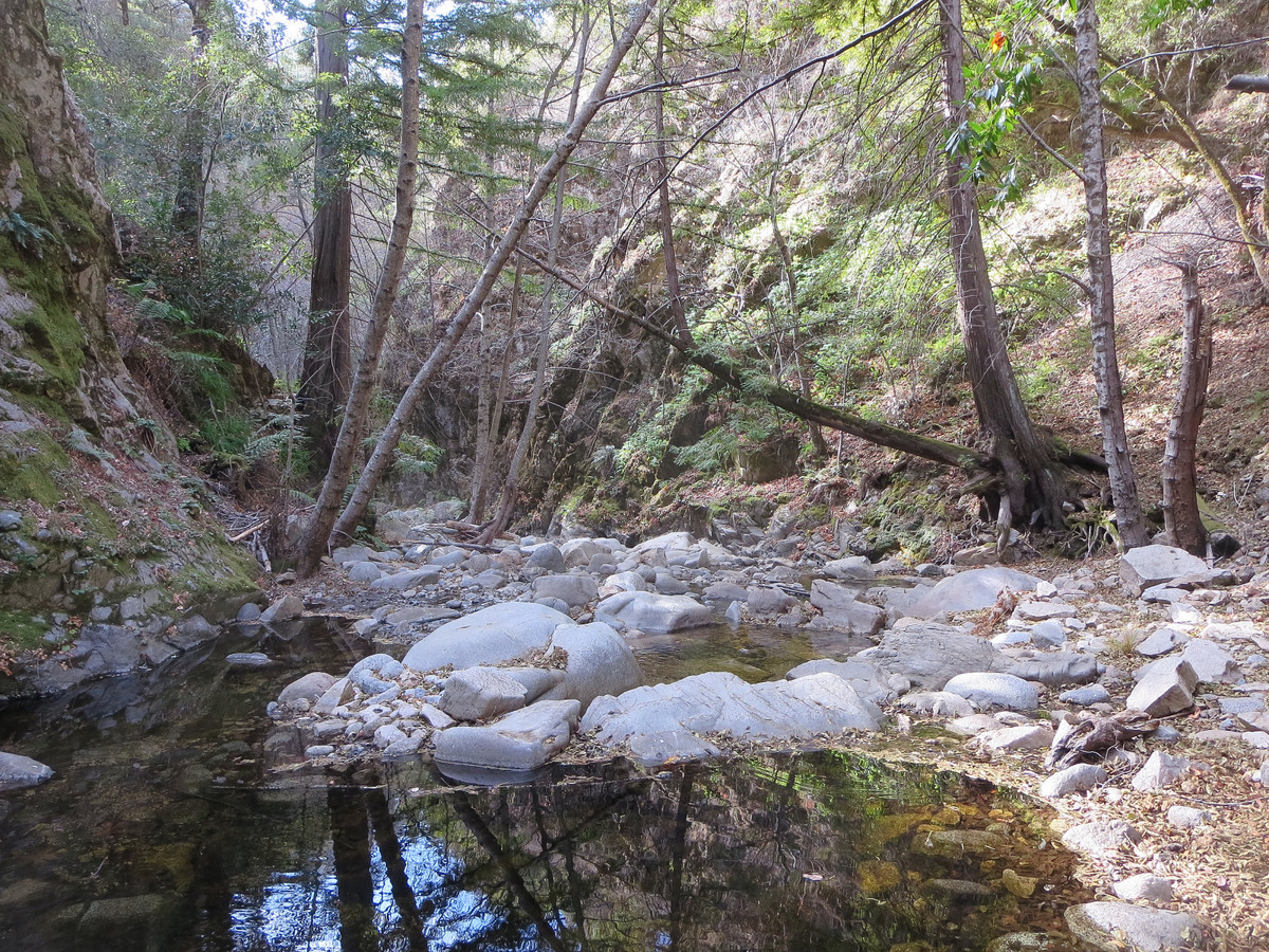 Little Sur Circular Pools – Leor Pantilat's Adventures