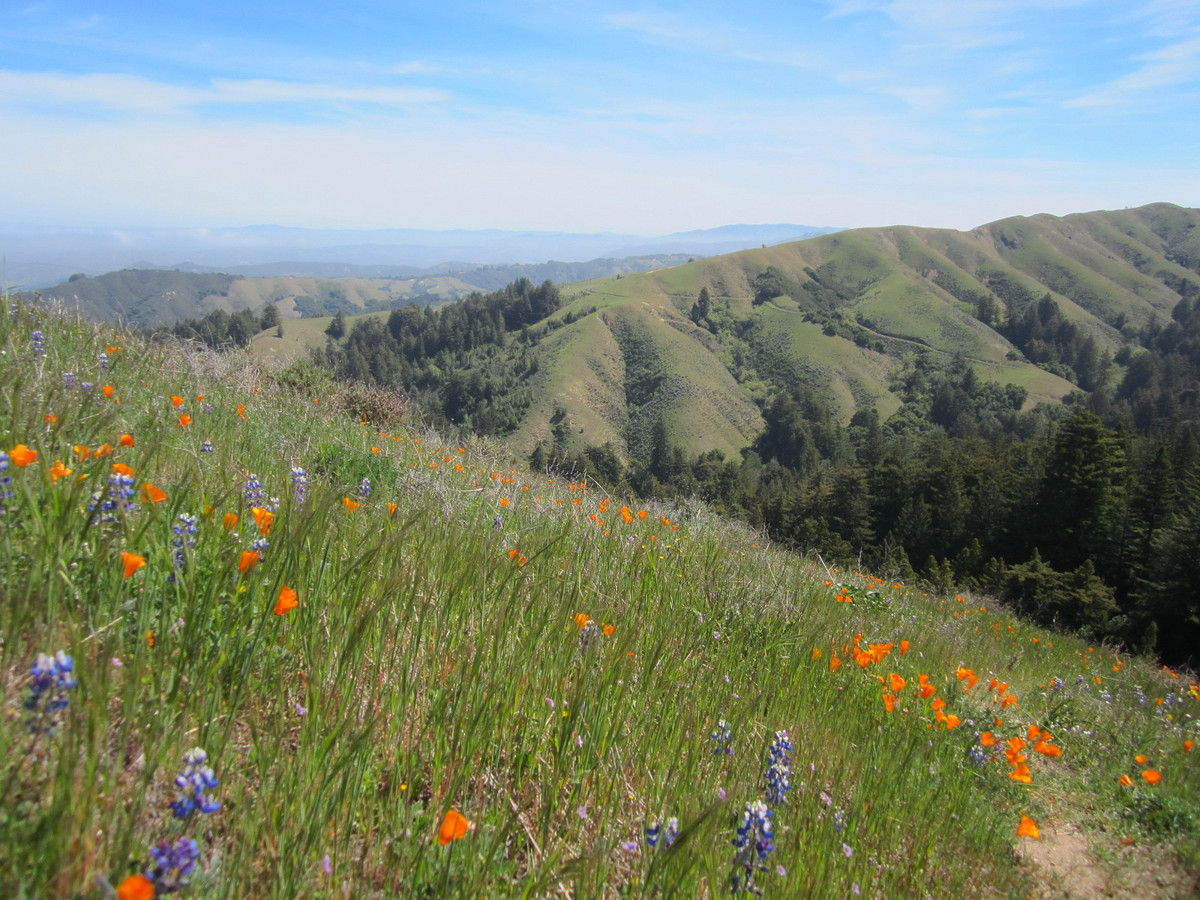 Rocky Ridge & Doud Peak – Leor Pantilat's Adventures