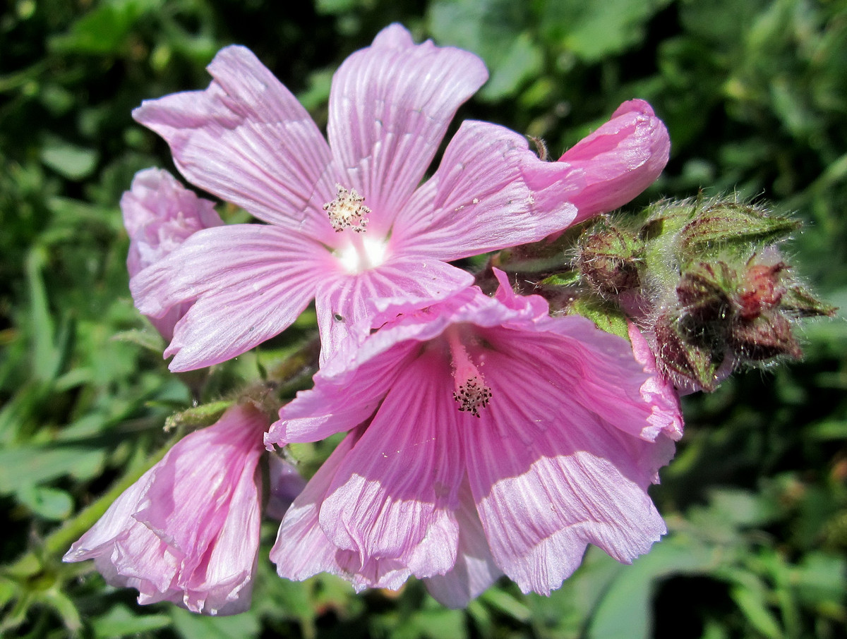 Rocky Ridge & Doud Peak – Leor Pantilat's Adventures