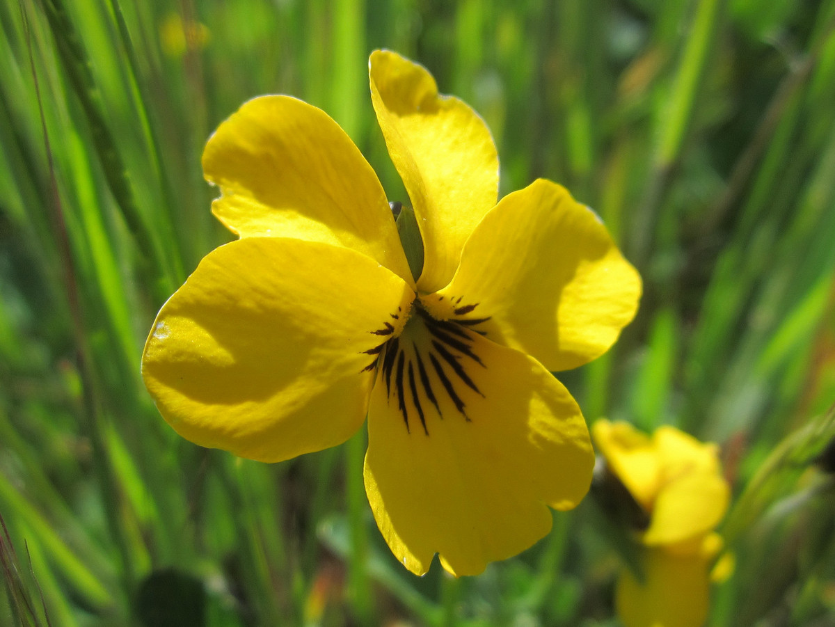 Rocky Ridge & Doud Peak – Leor Pantilat's Adventures