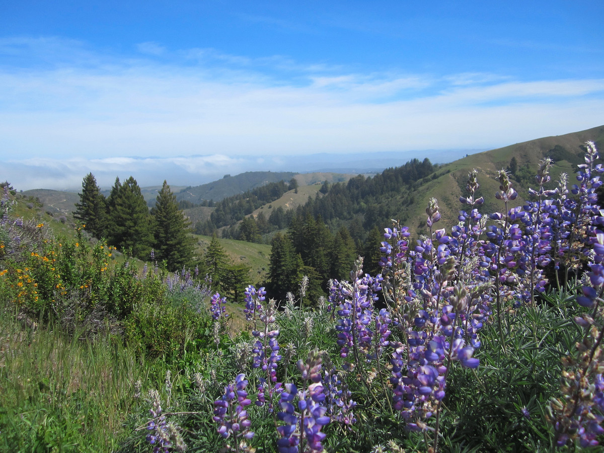 Rocky Ridge & Doud Peak – Leor Pantilat's Adventures