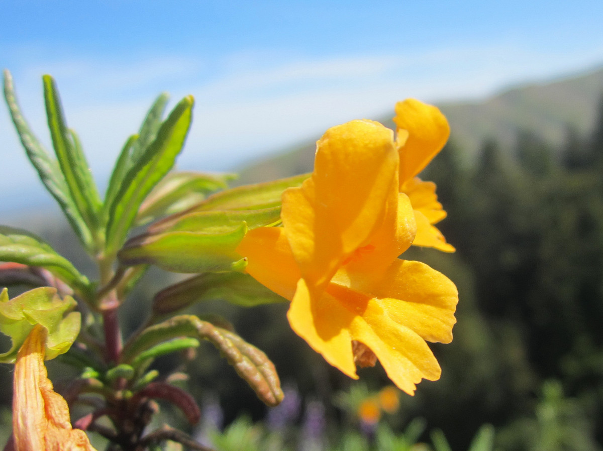 Rocky Ridge & Doud Peak – Leor Pantilat's Adventures