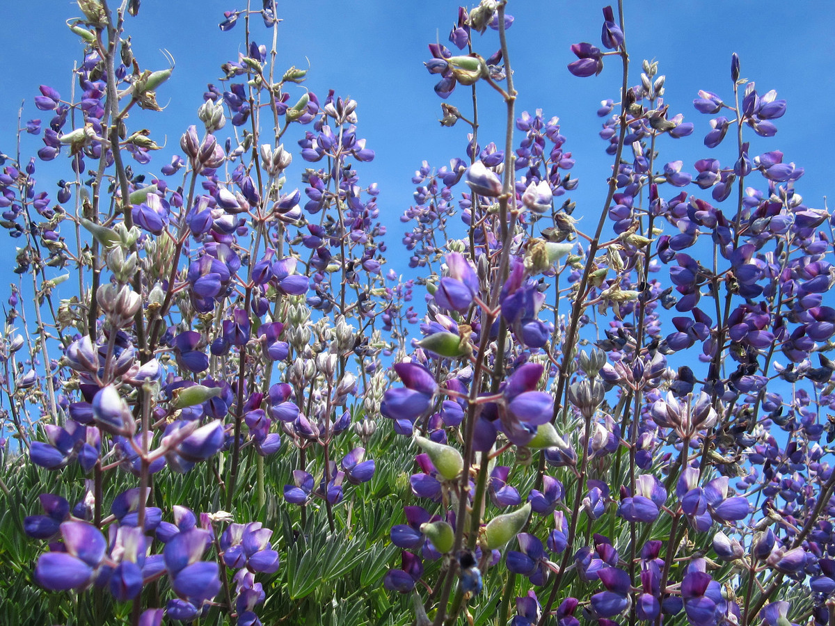 Rocky Ridge & Doud Peak – Leor Pantilat's Adventures