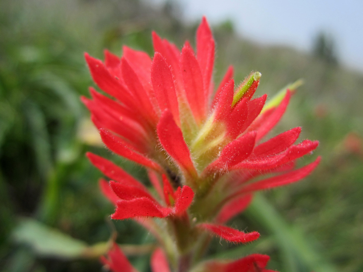 Rocky Ridge & Doud Peak – Leor Pantilat's Adventures