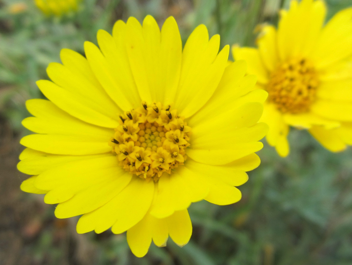 Rocky Ridge & Doud Peak – Leor Pantilat's Adventures