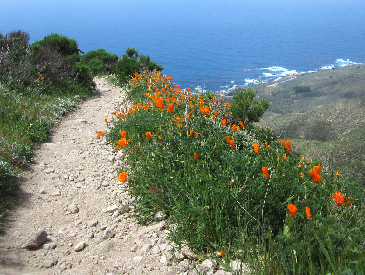 Rocky Ridge & Doud Peak – Leor Pantilat's Adventures