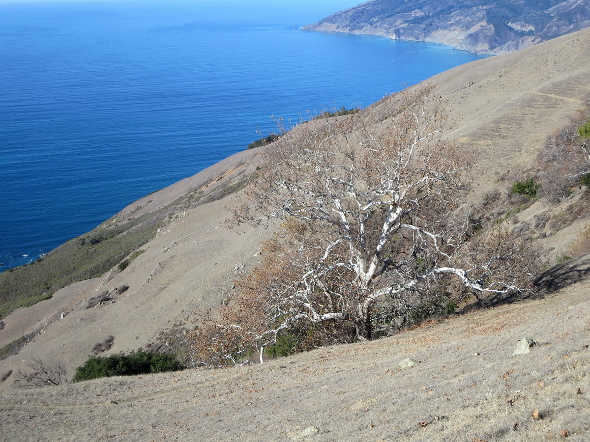 Prewitt Ridge – Leor Pantilat's Adventures